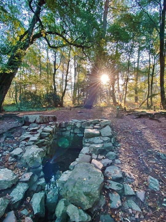 La fontaine de Barenton - Paimpont (35)